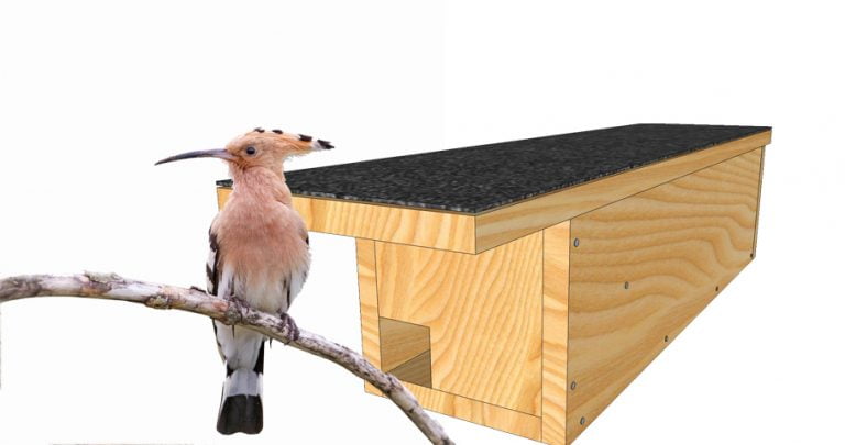 Putnu būrīša izgatavošana